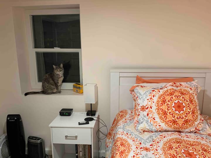 Cozy Basement Suite - Denver, CO