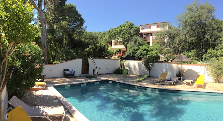 Grand Gîte Confortable Pour 12 Personnes - Collioure