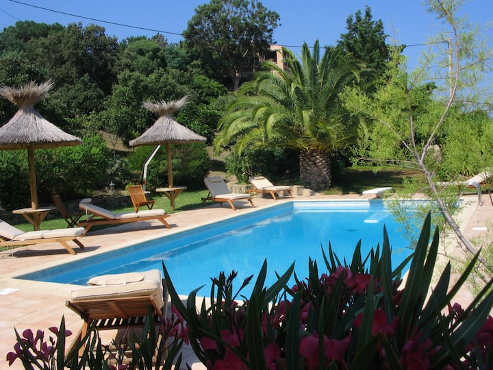 Lumio Villa Ascopa Avec Piscine Et Vue Mer - Calvi
