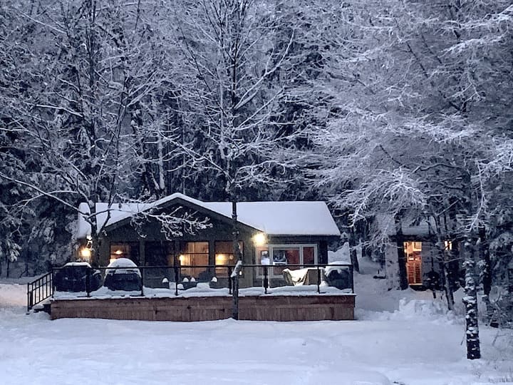 Muskoka Family Cottage - Bracebridge