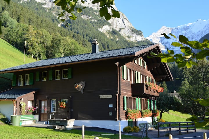 Ferienwohnung Chalet Mettenberg - Grindelwald