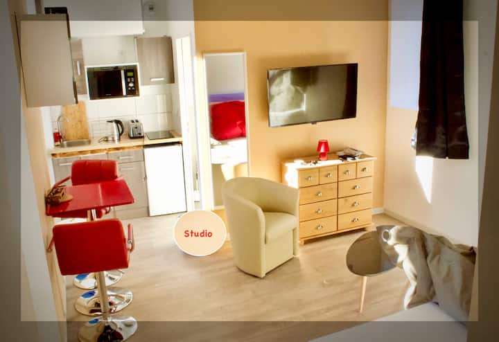 Magnifique Studio 2 Hypercentre Luz - Luz-Saint-Sauveur