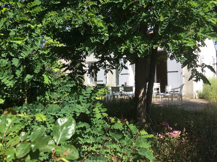Les Mouettes - Plage De Luzéronde. - Noirmoutier-en-l'Île