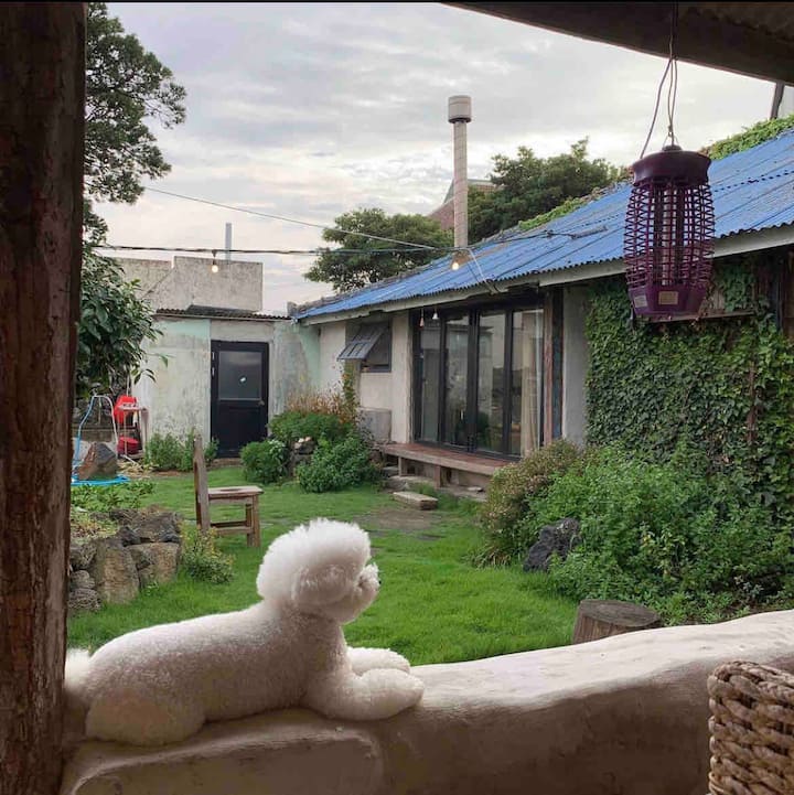 애월류가
건축가겸 사진작가인 호스트가 꾸민 바닷가의 제주 돌집 - Jeju-si