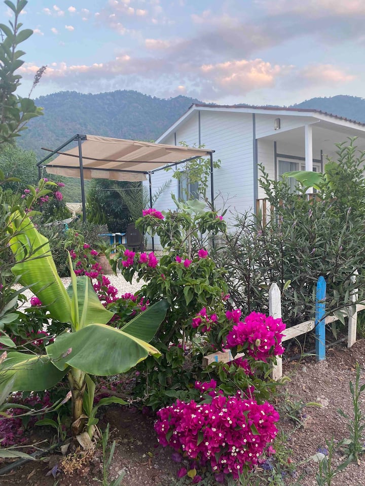 Adrasandaki Eviniz 2 - Adrasan