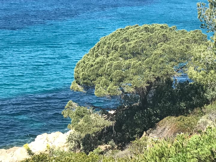 L'orangeraie  Petite Maison à 200m Plage  St Clair - Le Lavandou