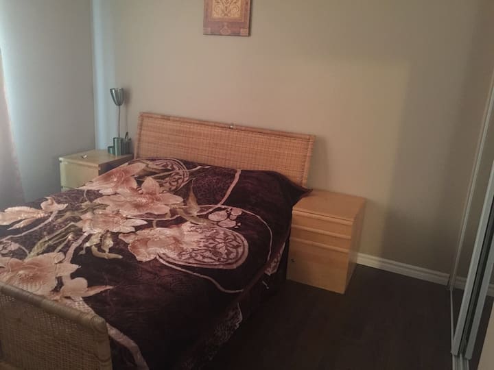 Newly Renovated Basement With Separate Entrance - Oakville