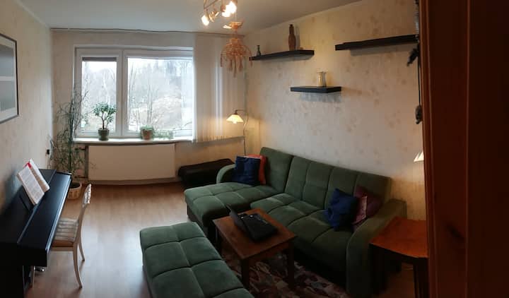 2 Bedroom Flat For 4 Guests In Local Neigbourhood - Vilnius