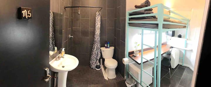 Micro-suite: Single Bed, Bath, Office & Pvt Entry - Detroit, MI