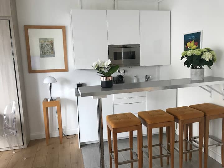 Trocadéro - Tour Eiffel - Champs Elysées - Paryż