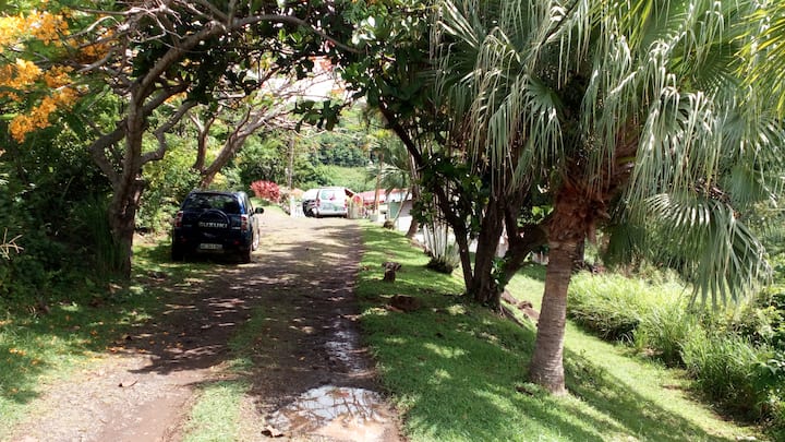 Ti Laure La Case à Fleurs (2) - Martynika