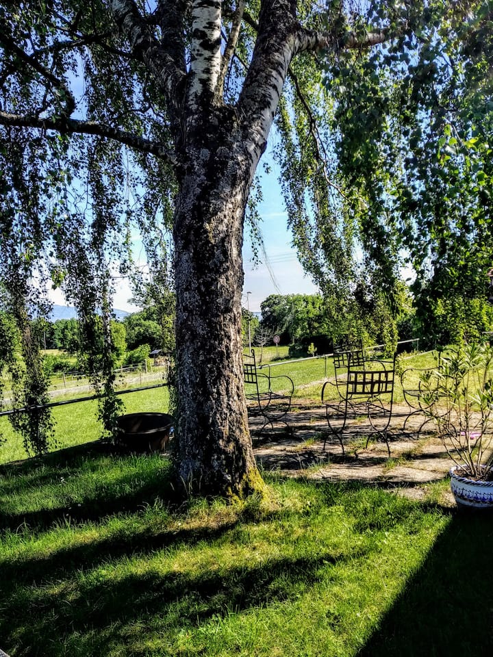 Charmante Villa - Saint-Genis-Pouilly