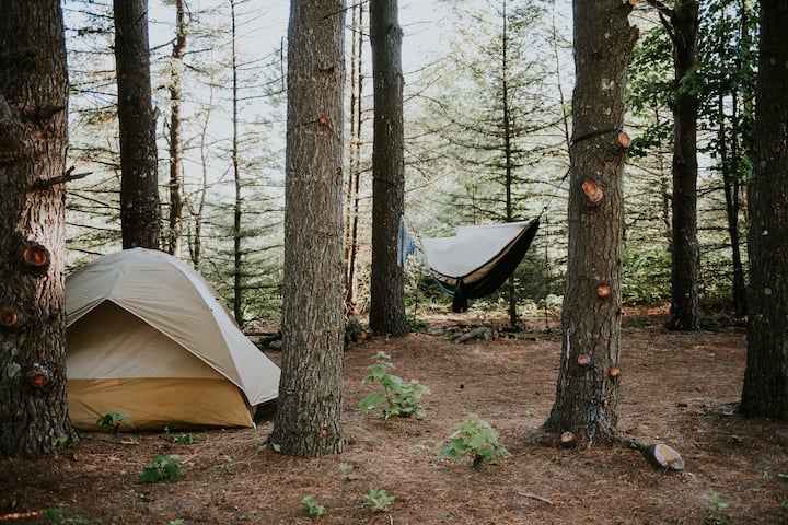 Unplug Off Grid @ Camp Squid! - Frankfort, MI
