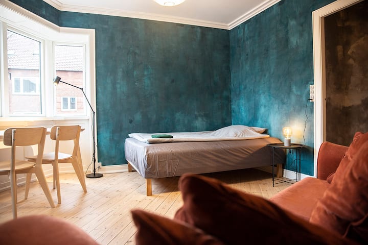 Green Copenhagen - Perfect For Young Professional - Copenhaguen