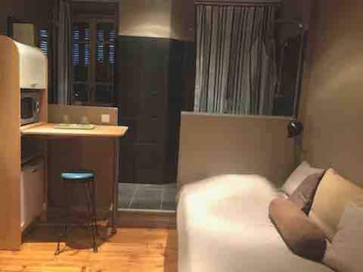 Studette éQuipée, Wc Sdb Privés Toulouse Centre - Toulouse