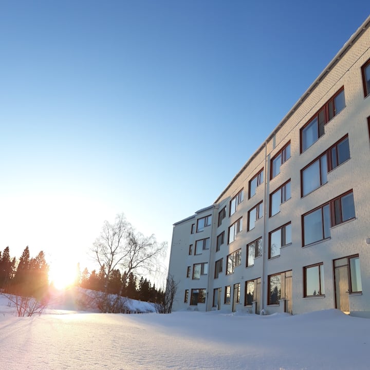 Alvar Aalto's Architecture Gem, Own Garage - Rovaniemi
