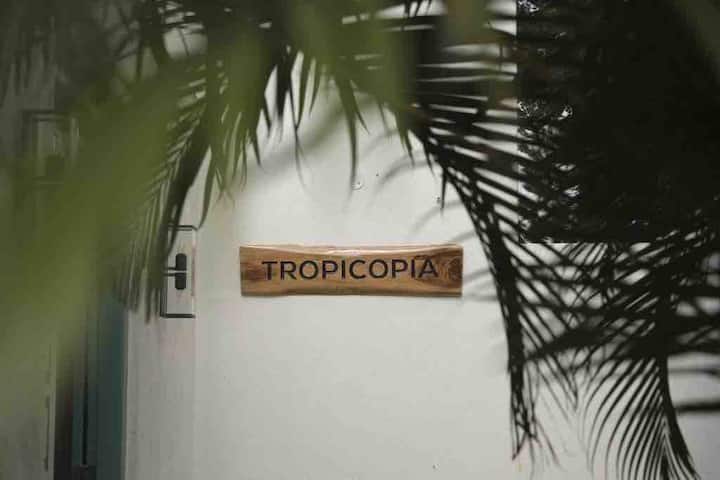 Cafe Cornucopia #Tropicopia 005 - Mysuru