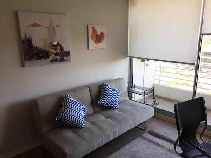 Departamento Suite A Pasos Del Centro Y Faro - La Serena