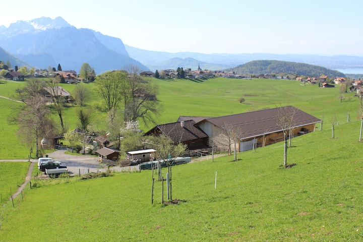 Abenteuer Im Stroh - Spiez