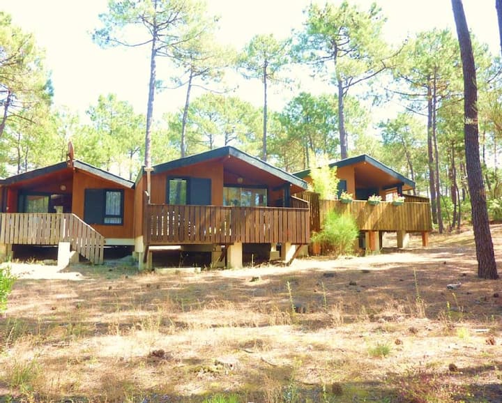 Résidence  "Le Sextant" Entre Lac Et Océan - Carcans