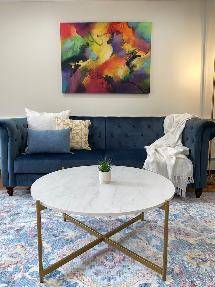 Chic 1 Bedroom - Longwood/fenway - Roxbury - Boston