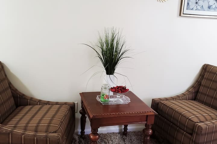 Gorgeous And Cozy Apartment, Close To Everything. - Schenectady