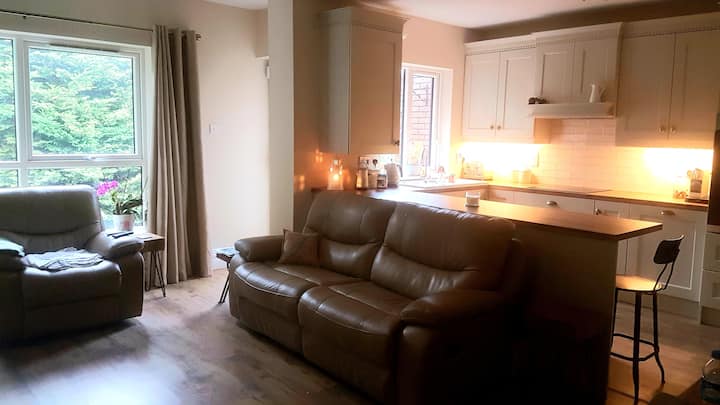 Homely & Comfortable 2 Bed Apartment In D6 - Dublin
