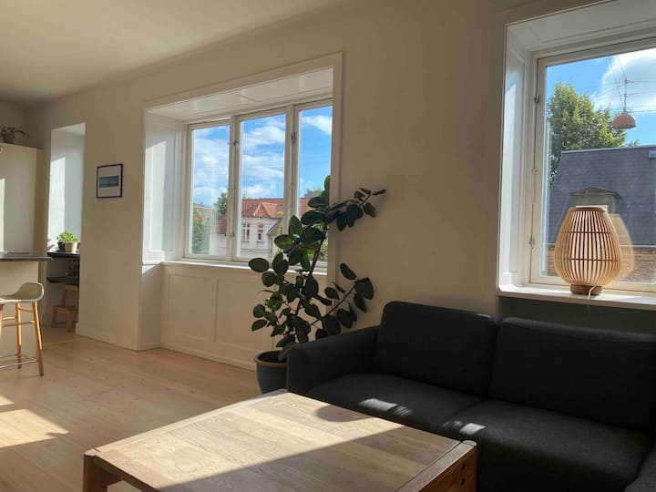 Big Appartment (Room For Rent) - Copenhaguen