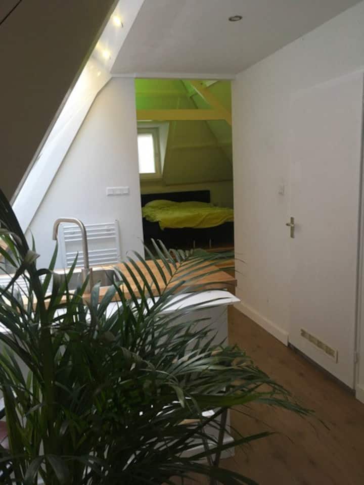 Comfortabel Appartement In Gallerie District - Barendrecht