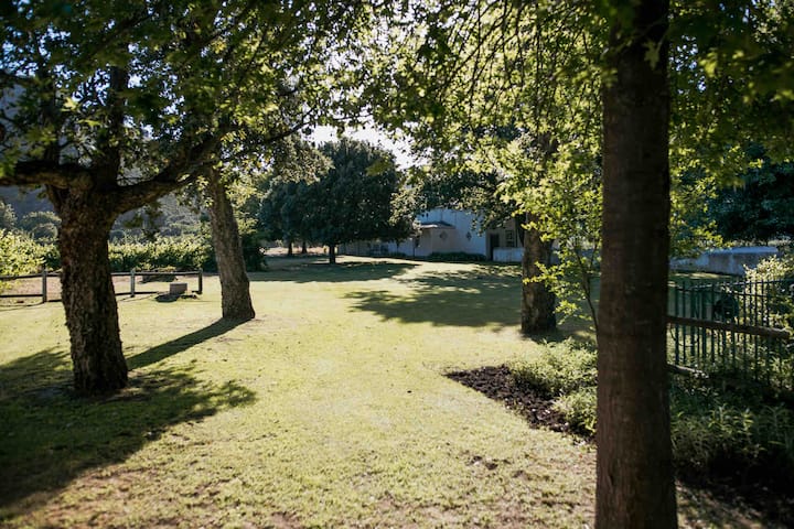 Die Stal At Antioch - Pniel