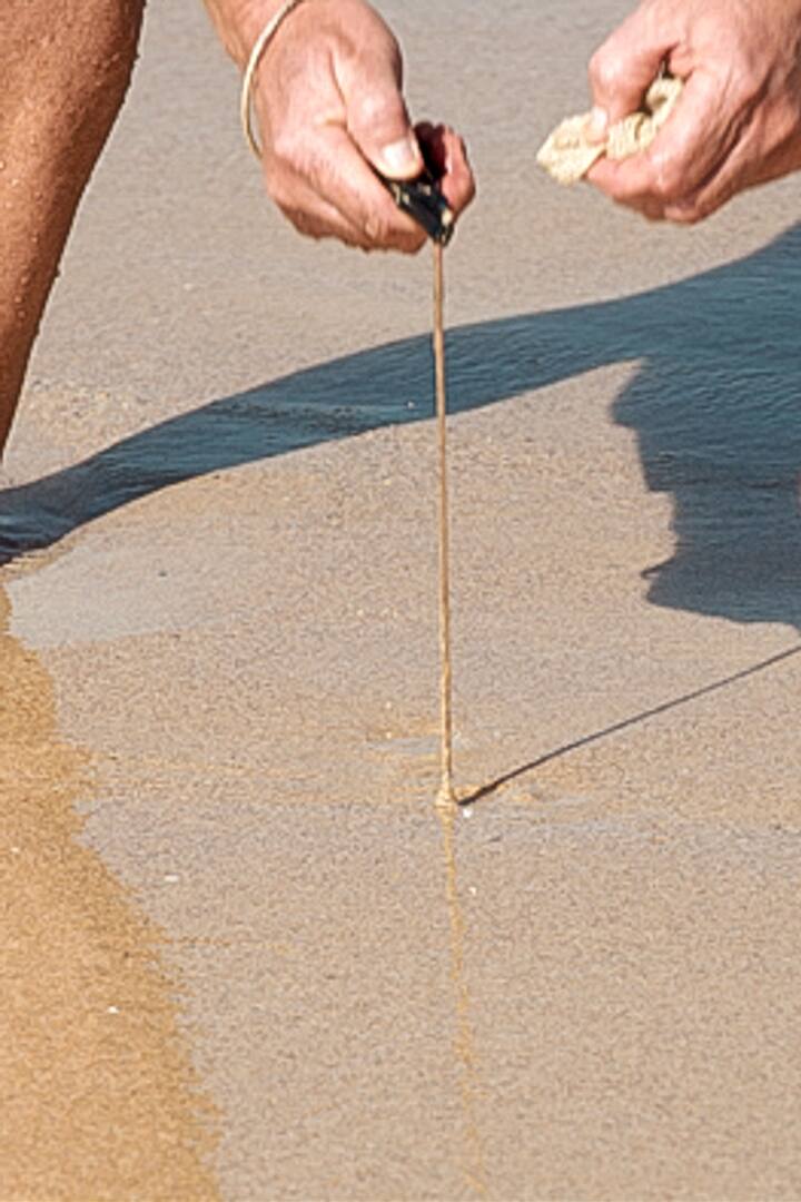 Learn to catch BEACH WORMS for BAIT - Airbnb