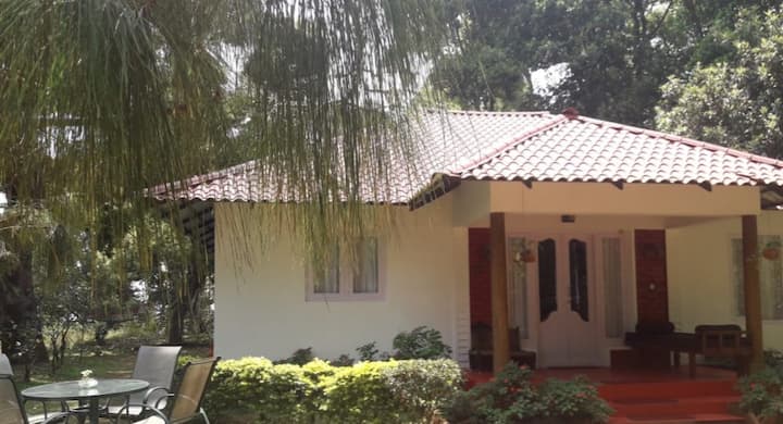 Bungalow Within A 125 Acre Cardamom Plantation - Munnar