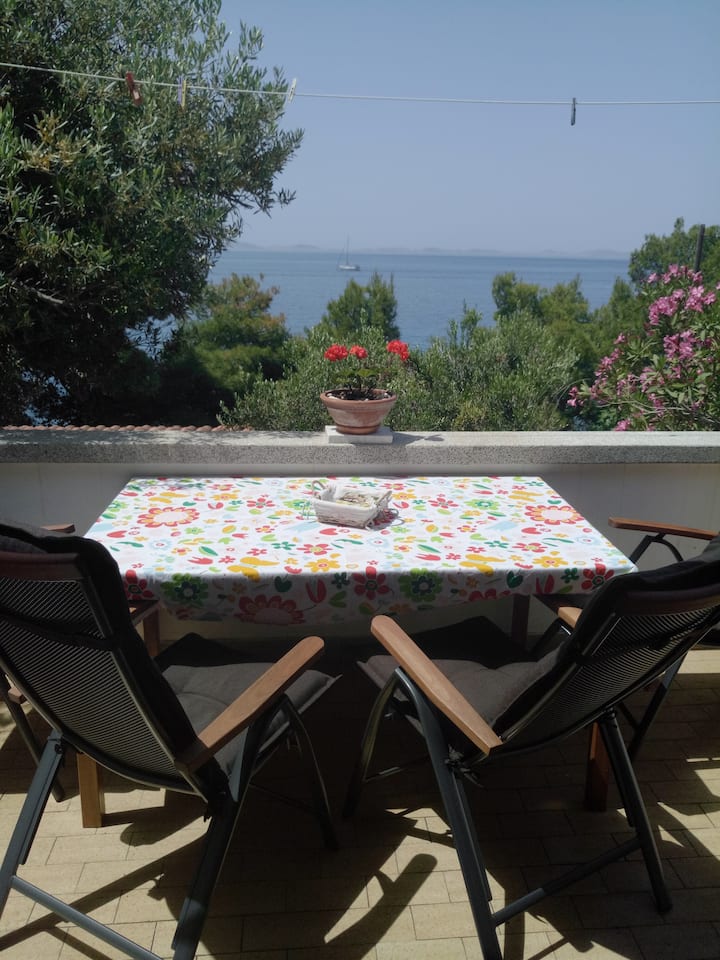 Odmor Za Obitelj. - Murter