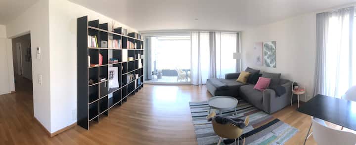 Spacious 4br/2ba Home, 8’ Walk To Lake&old Town - Zurich