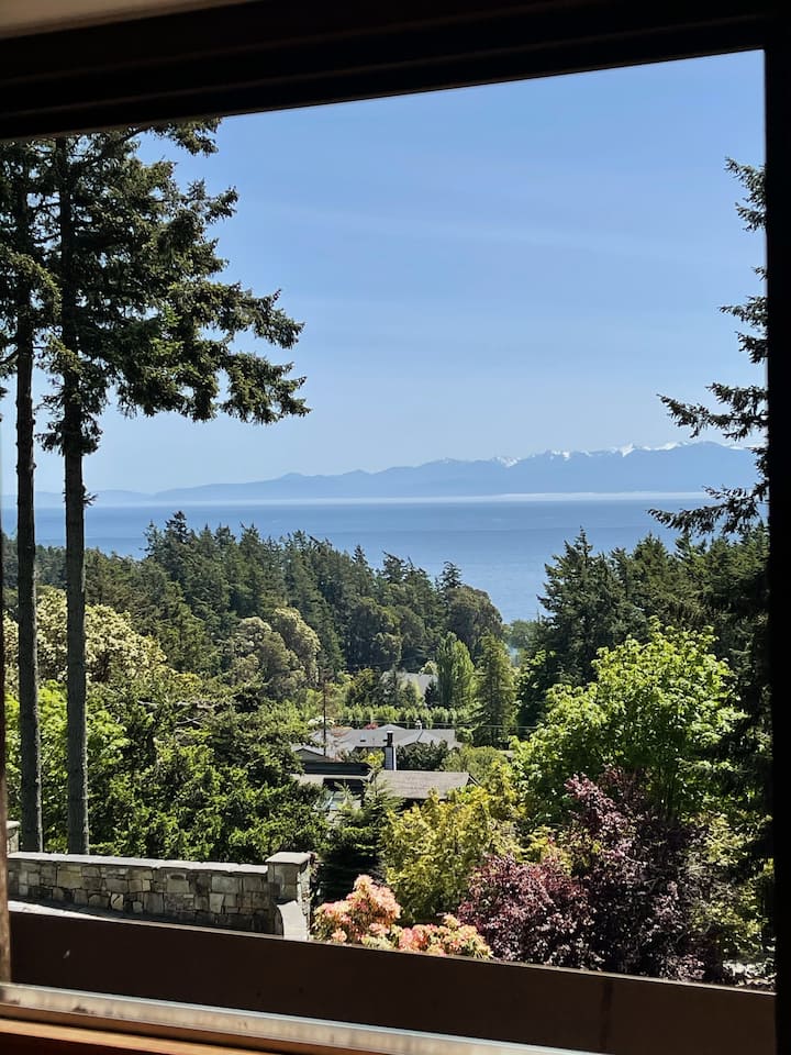 Tower Point: 2br + 2bath - With Ocean & Mtn View! - Victoria