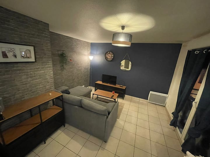 Charmant Appartement Entre Lac Et Montagne - Chambéry
