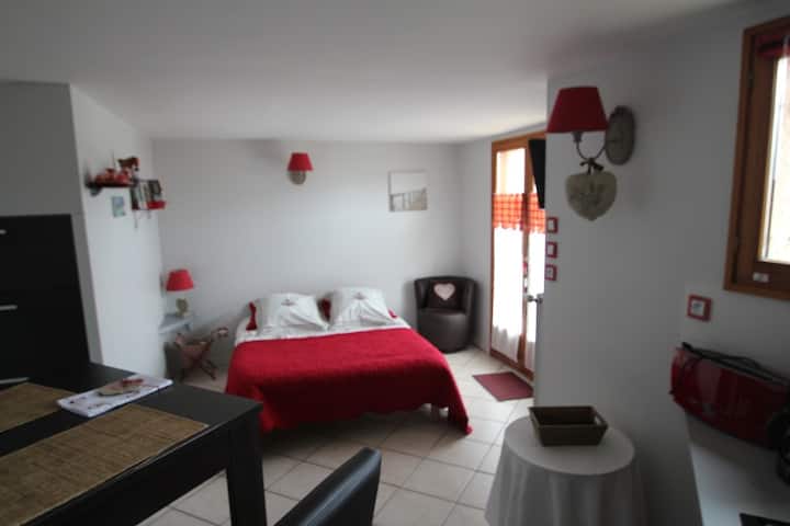 Studio Rdj En Maison Individuelle - Le Bourget-du-Lac