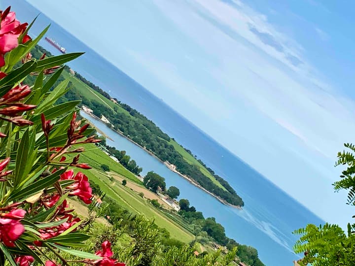 Ocean View - Koper