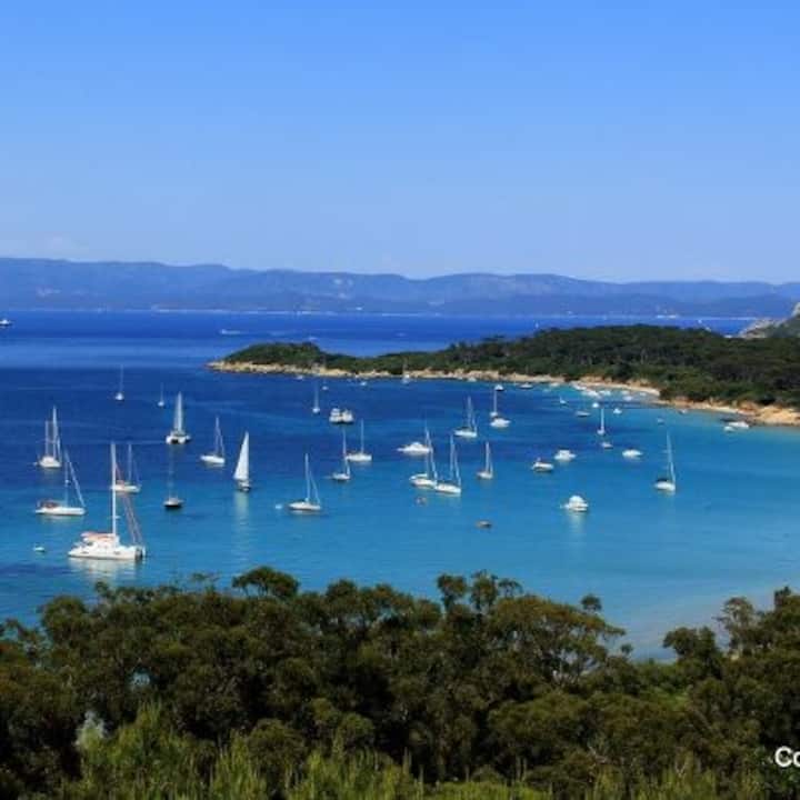 Charmant Petit Studio Sur La Presqu'ile De Giens - ポルクロール島
