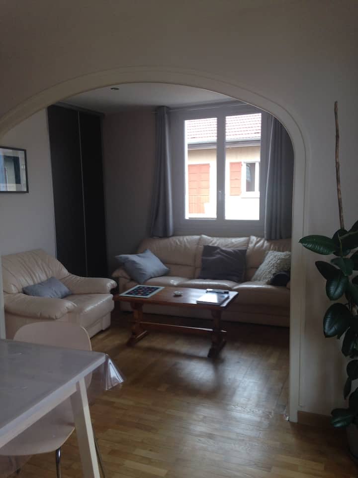 Appartement 47m2 à Annecy - Seynod