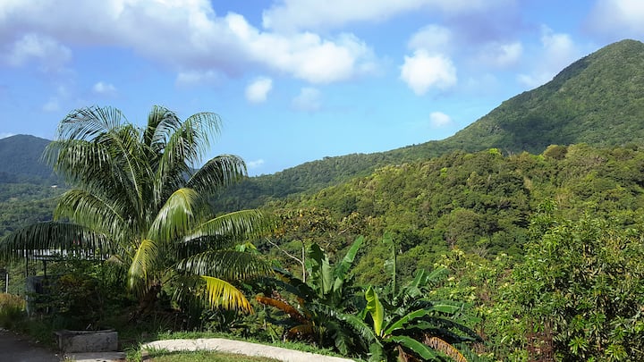 Bergblick Moore Park - Dominique