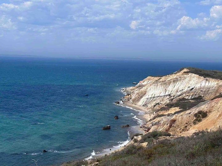 Fantastical Fishermen’s Cottage & Private Garden - Oak Bluffs, MA