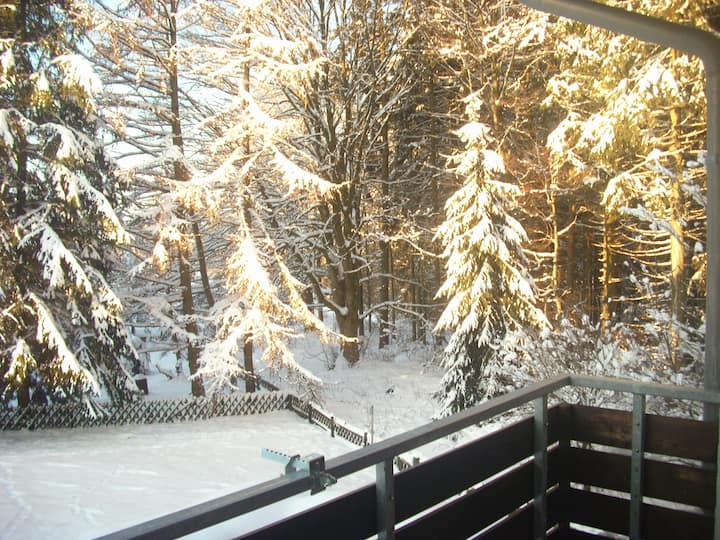 "Waldfee" - Moderne Fewo Am Wald Mit Garage - Sankt Andreasberg
