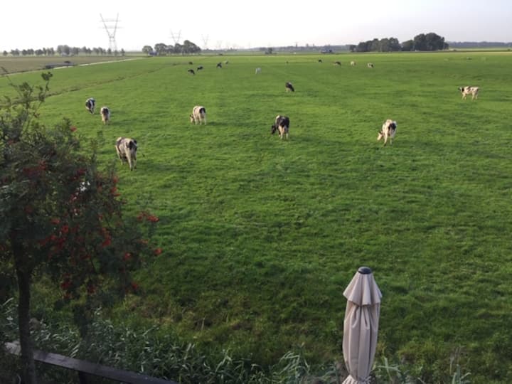 Rural With View Over Fields - 15 Mins Amsterdam Cs - Purmerend