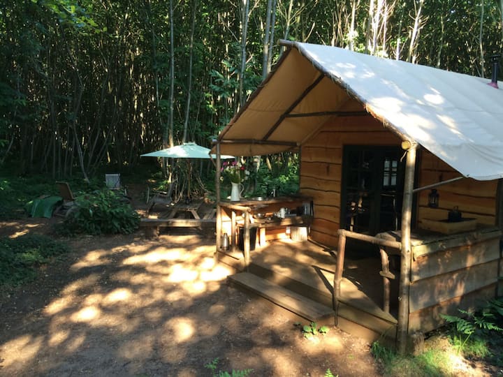 Coppicer's Cabin | Dog-friendly | South Downs - Petersfield