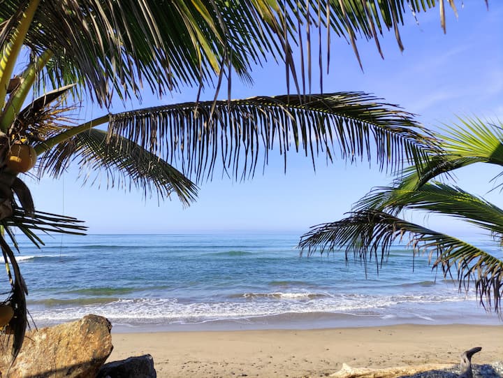 Casa Gaviota - Mexico