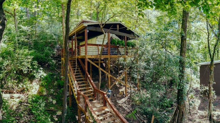 The Roost, 
Glamping At Large, Up! With The Trees. - 查塔努加