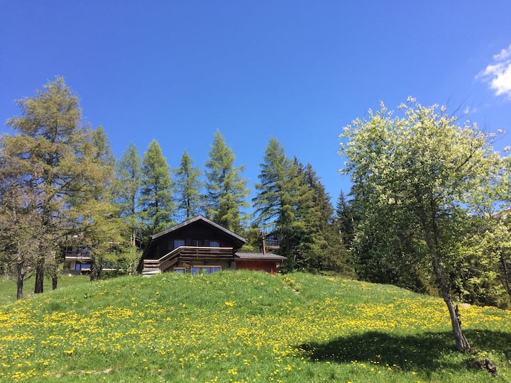 Charmant Chalet Au Milieu Des Pâturages - Gryon