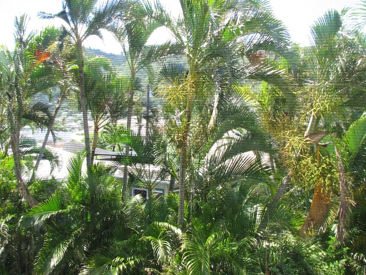 Welcome To The Paradise - Centrally Located Manoa - Honolulu