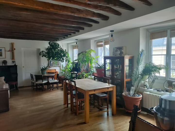 Sunny Apartment Odeon - Paris